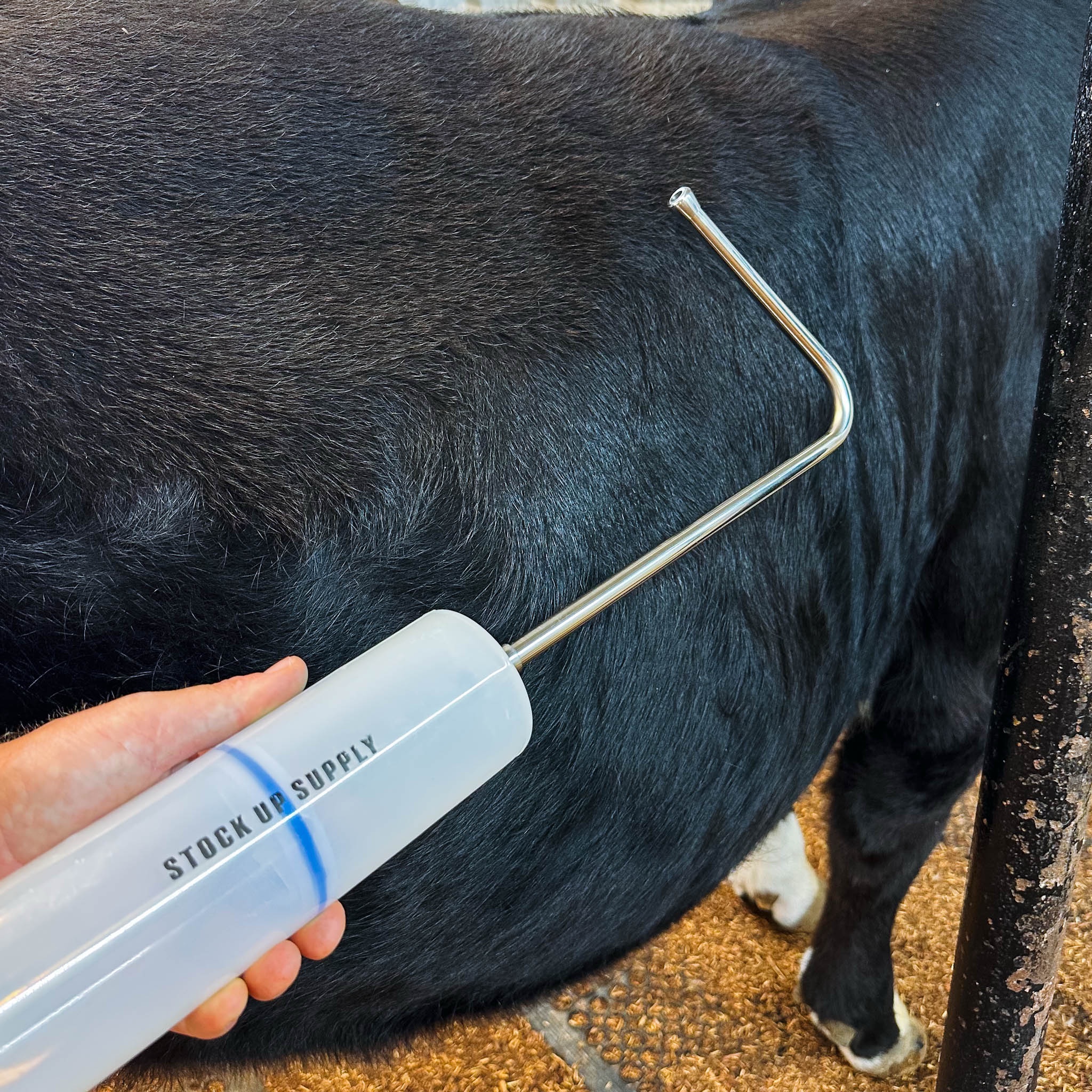 Easy Drench 600cc | Stock Up Supply